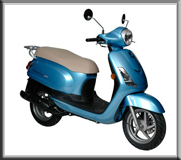 Team Show and Go Motorcycles