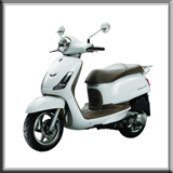 Team Show and Go Motorcycles